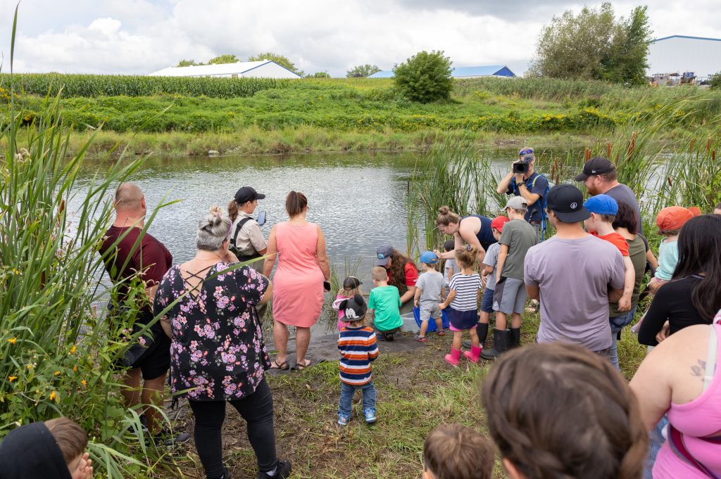 La tortue en vedette au festival Mikinak de Pike River - L’Avenir et ...